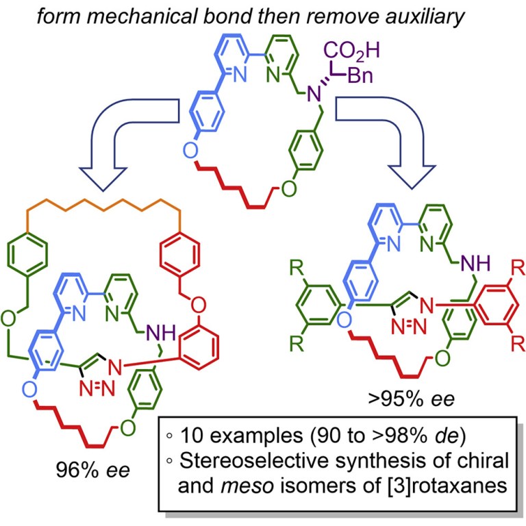 Publications – SaadyLab