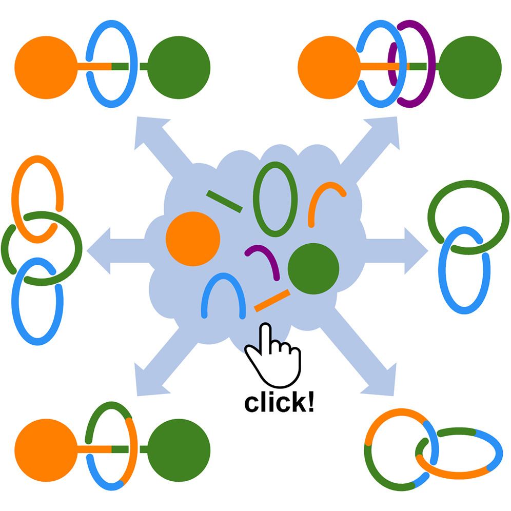 Publications – SaadyLab